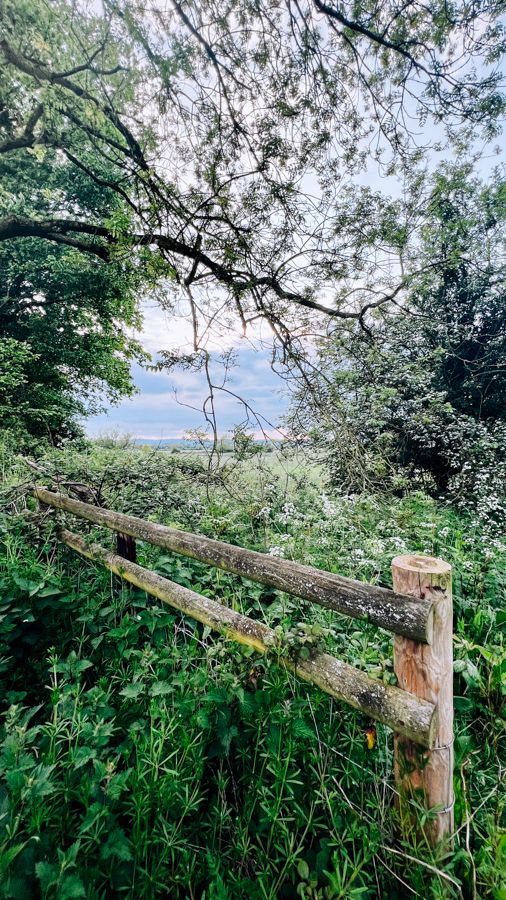 SPONSORED REVIEW - A New Staycation Treehouse Experience With Rewild ...