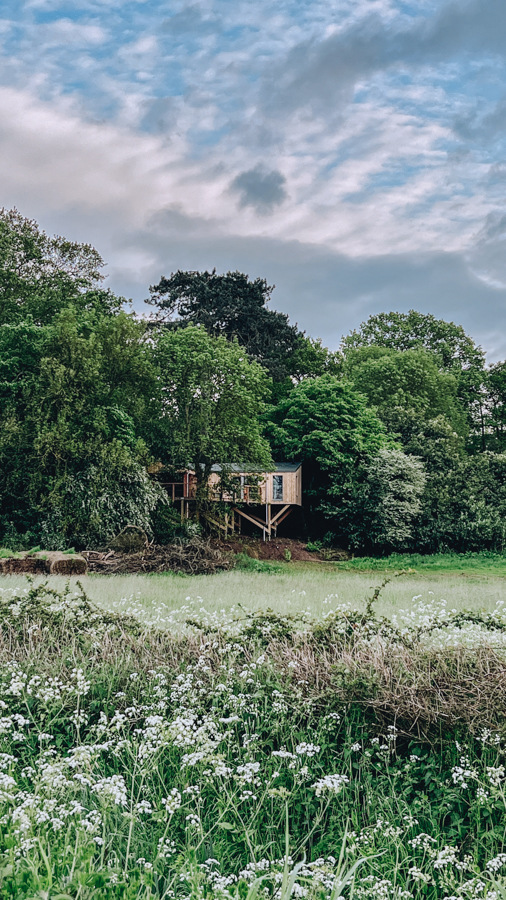 SPONSORED REVIEW - A New Staycation Treehouse Experience With Rewild ...